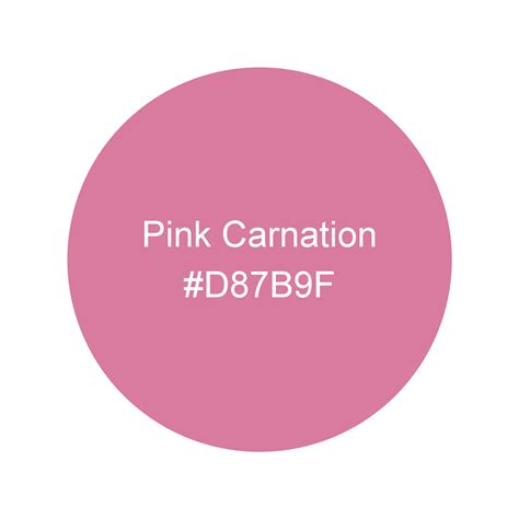 Pink Carnation · Theme