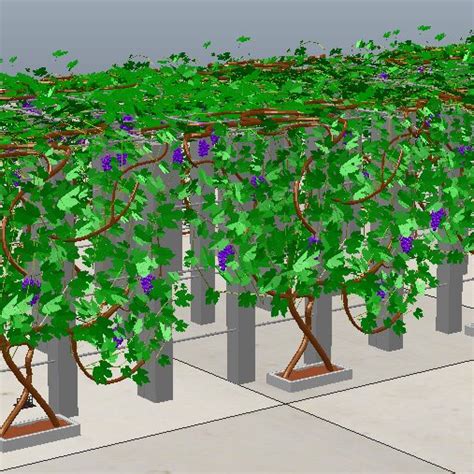 Establishment Of Vision Sensor Coordinate System Download Scientific