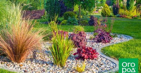 Растения для маленького сада 9 многолетников которым не нужно много