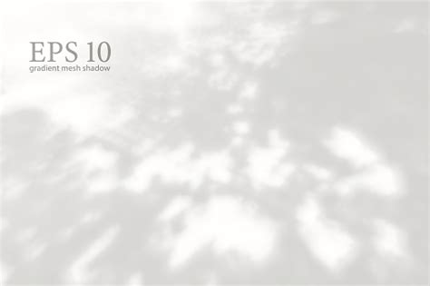 투명 한 자연 식물 그림자입니다 조명 효과 오버레이 메쉬 그리드 나뭇 가지 식물 단풍 및 나뭇잎의 그림자 프리젠 테이션 당신의