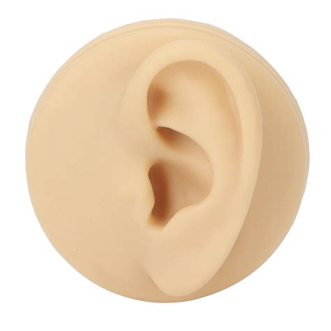 Soft Silicone Left Ear Simulation Model For Medical Teaching Ideal