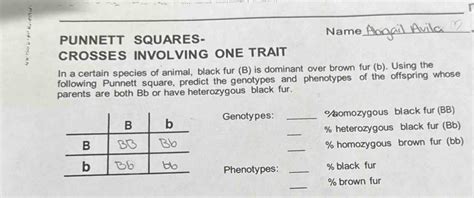 Solved Name Punnett Squares Crosses Involving One Trait In A