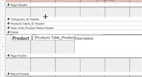 Access Advanced Report Options