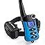Amazon.com: IPETS PET619S-2 Dog Shock Collar with Remote 100% ...