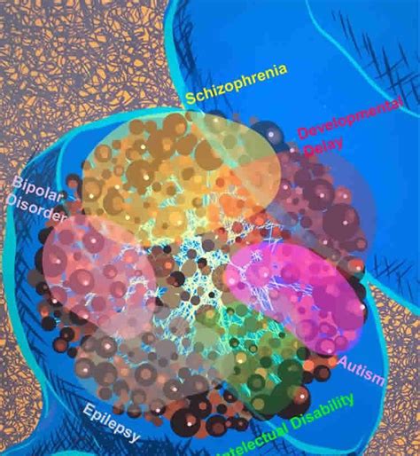 Postsynaptic Density News Research Articles