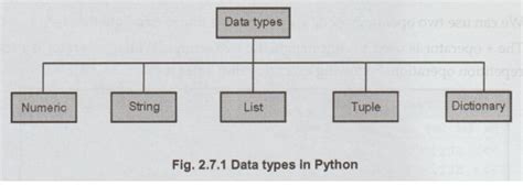 Values And Types Python Programming