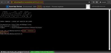 Nodejs Azure Web App Linux Node Version Always Wrong Stack Overflow