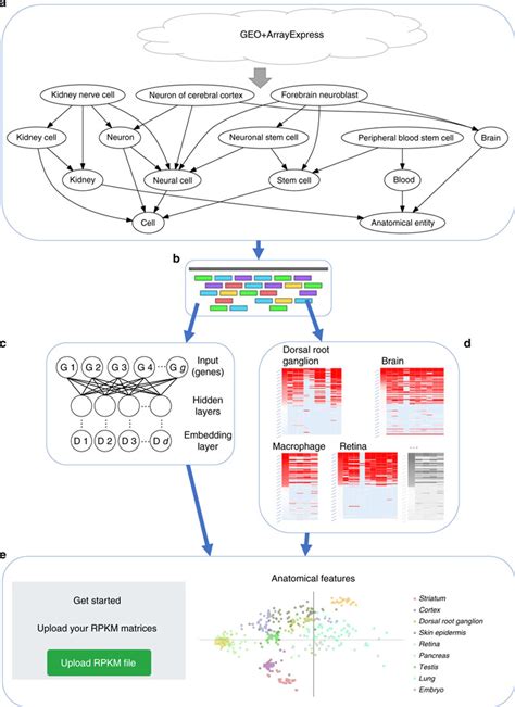 Single Cell Rna Sequencing Ngs Analysis