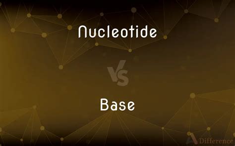 Nucleotide Vs Base — Whats The Difference