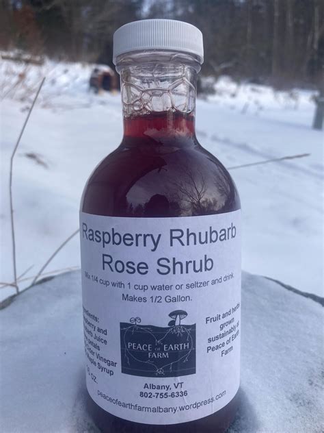 Raspberry Rhubarb Rose Shrub Etsy