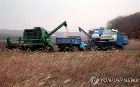연해주의 콩 농사 연합뉴스