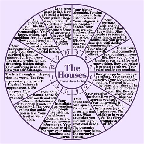 House Chart Learn Astrology Birth Chart Astrology Astrology Numerology