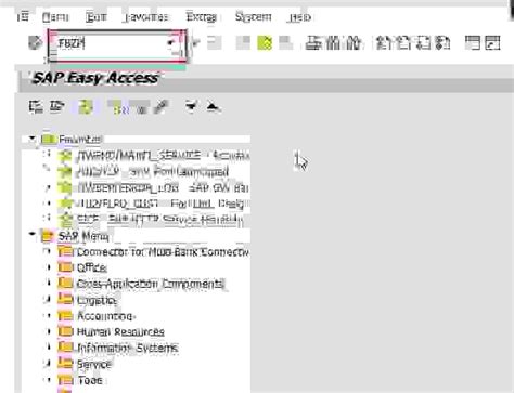 Automatic Payment Program In Sap