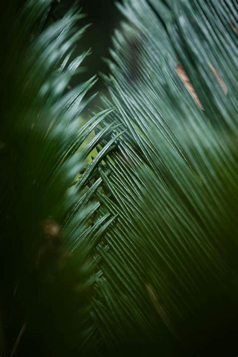 건물 건축 경치 경치가 좋은 계단식 주택 관광 구름 구름 벽지 구름 하늘 그림 같은 높은 경치 높은 관점 도시의 등산 마데이라 마데이라 섬