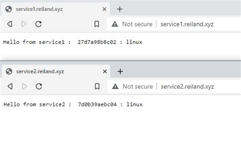 Deploying Multi Domain Applications In A Single Host With Docker And Nginx