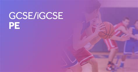 Gcse Pe Revision Resources Tes