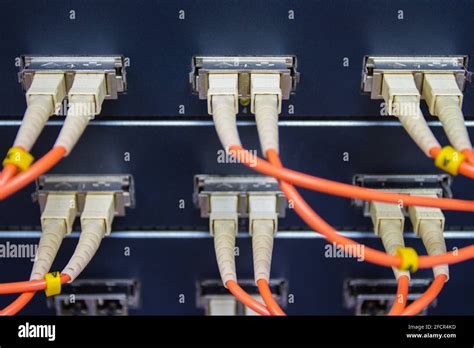 Cable Network Fiber Optic Cable Connect To Switch Port In Server Room Concept Network