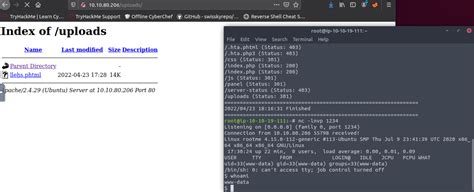 Github Inf0esecthm Rootme A Ctf For Beginners Can You Root Me