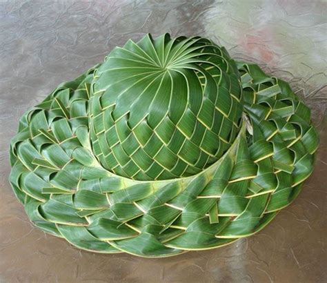 How To Make A Coconut Palm Leaf Hat At Keith Turner Blog