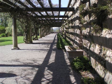 무료 이미지 나무 통로 열다 보도 꽃 벽 여름 공원 빈 정원 버려진 긴 덩굴 맑은 그림자 기둥 시멘트 넓은 마당 지원하다 포장 된