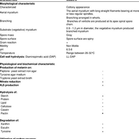 Characterization And Identification Of Isolate 3 Download Table
