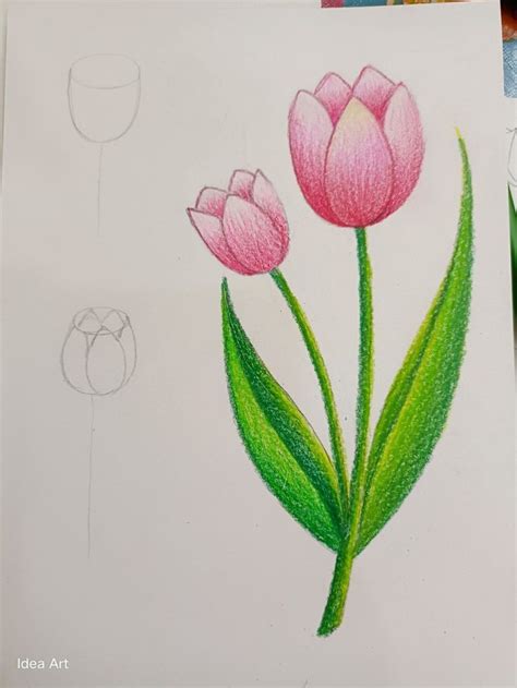Simple And Cute Tulip Drawing Çiçek çizimi Retro Posterler Karakalem çizimler