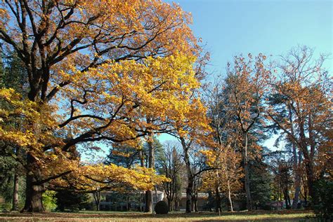 წინანდლის საგანმანათლებლო ცენტრი