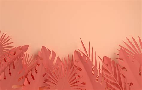 열 대 종이 팜 프레임 나뭇잎 여름의 열 대 잎 종이 접기 이국적인 하와이 정글 단풍 여름 배경 종이 잘라 최소한의 스타일 파스텔 컬러 3d 렌더링 0명에 대한 스톡 사진