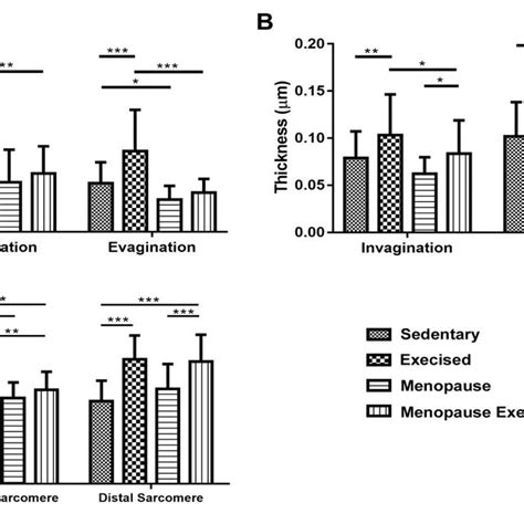 Morphometric Data Mean And Standard Deviation Of The Lenghts A