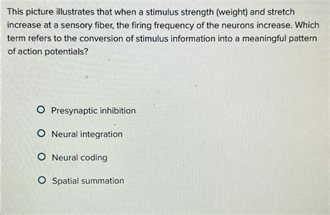 Solved This Picture Illustrates That When A Stimulus