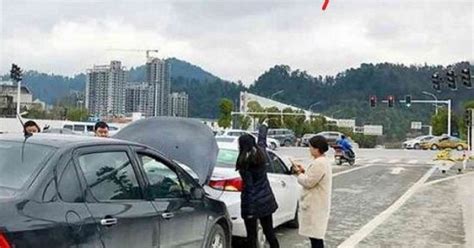 원숭이 엉덩이 빨간불로 착각해 교통사고 낸 여성