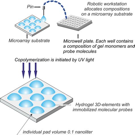 Manufacture Of A Microarray With 3d Elements Containing Compositions Of