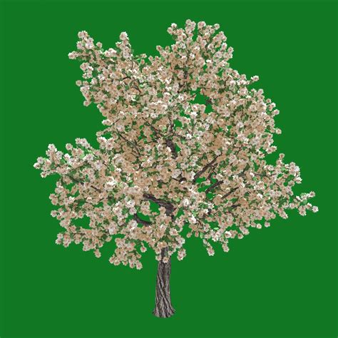 Forest Pear Pear Tree 3d Model 28 Max Free3d