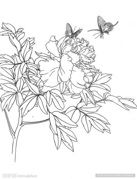 白描花卉设计图绘画书法文化艺术设计图库昵图网