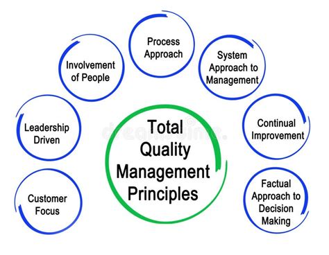 Total Quality Management Principles Stock Illustration Illustration