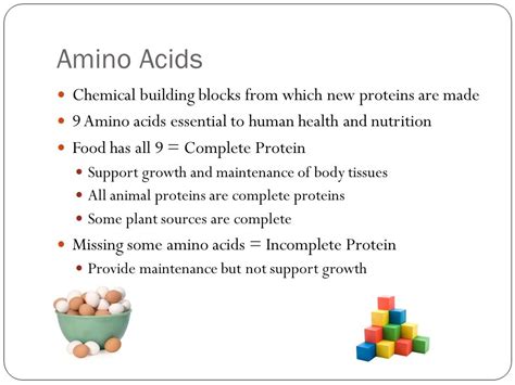 Chemical Building Blocks Of Protein Protein Molecules Are The Building