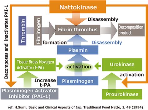 Nattokinase Htnk J｜creating A Rich Food Culture Organo Food Tech Coltd