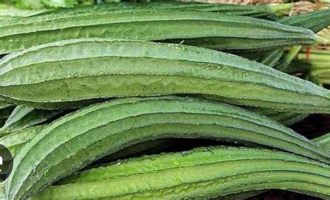 Siopen Hss Catering Mama Leha Karawila