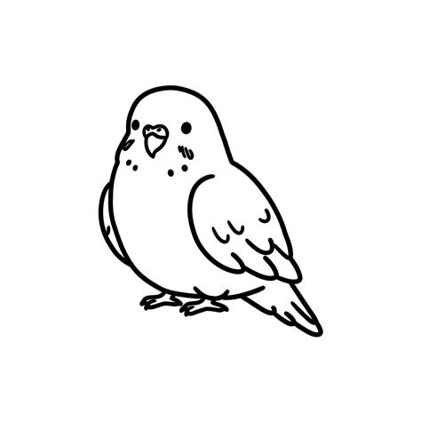 Cute Chubby Budgie Bird Simple Line Drawing Illustration 71986934