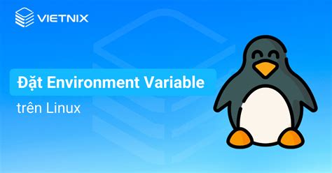 hướng dẫn cách đặt biến môi trường trong linux 2024
