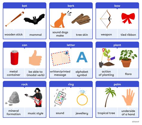 Homonyms Homophones And Homographs Alloprof
