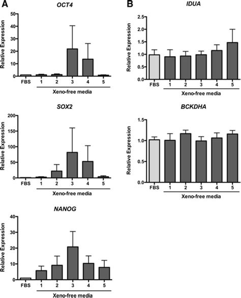 Stem Cell Marker Genes Expression Real Time Quantitative Pcr Analyses