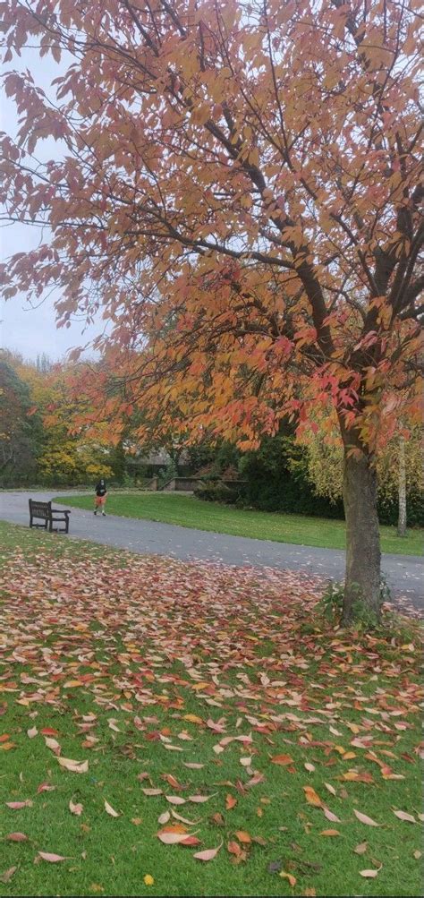 Sneha Anand On Linkedin Each Moment In A Day Has Its Own Value Good