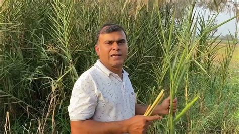 খাগের কলম Youtube