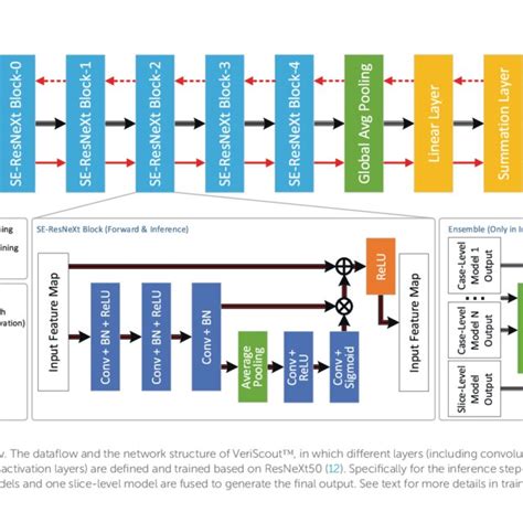 Visualization Of Convolution Operation On An Image Download Scientific Diagram
