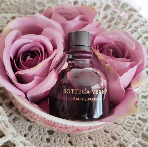 Bottega Veneta Eau de Velours Bottega Veneta Parfum - ein es Parfum für ...