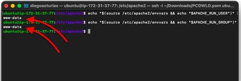 Apache Server Security Guide For 2024 Step By Step Backups To Logs