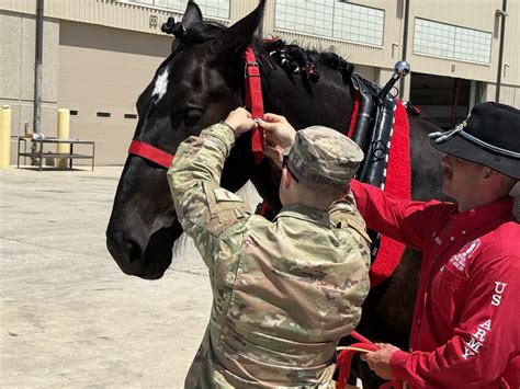 1st Engineer Battalion Added A 1st Engineer Battalion