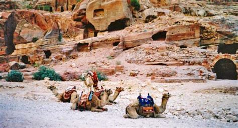 Jordan Caravan Big Planet Adventure Travel