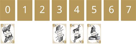 Linear Probing Insertion Cs2 Mulch